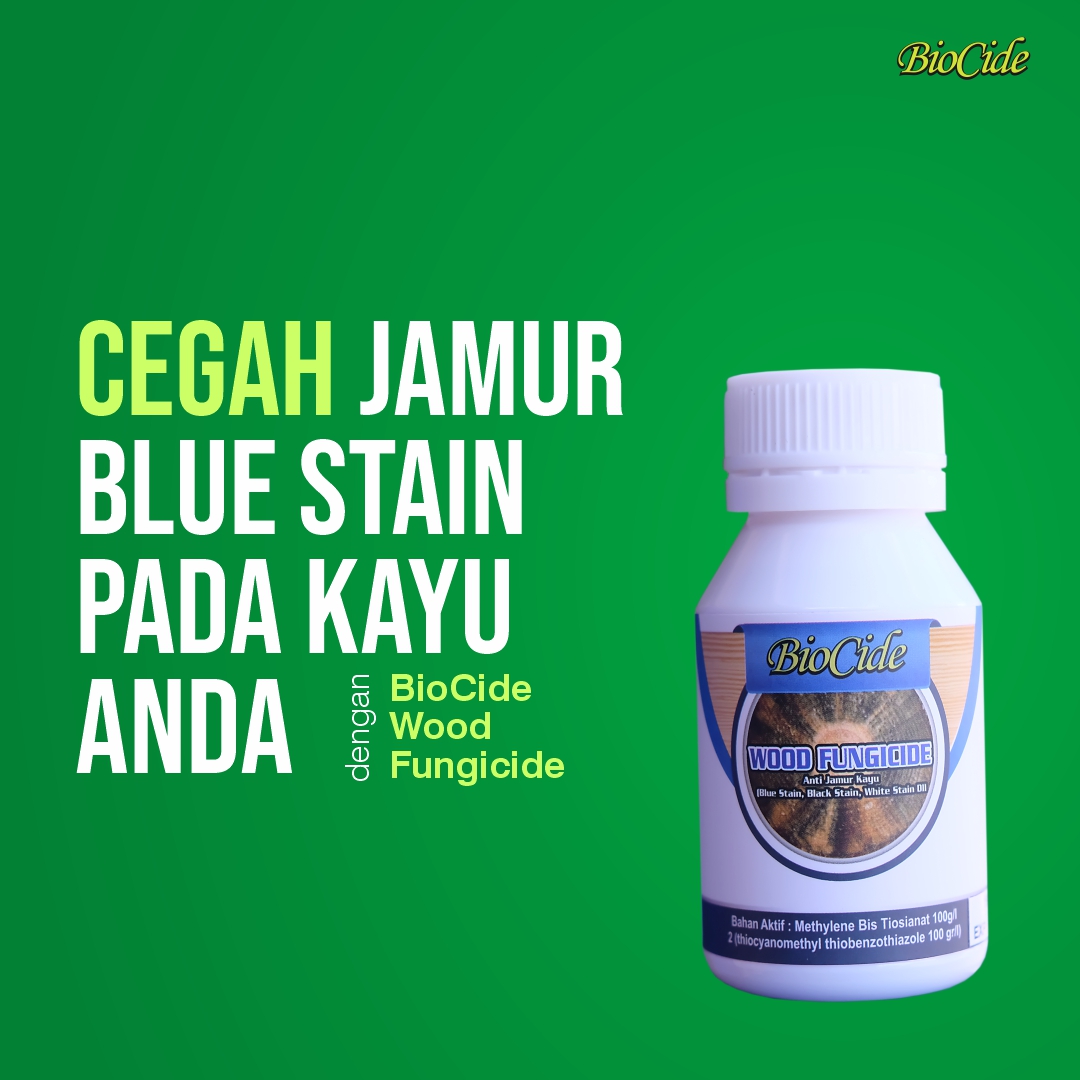 BioCide Wood Fungicide - Cat Kayu BioCide Wood Fungicide - Cat Kayu